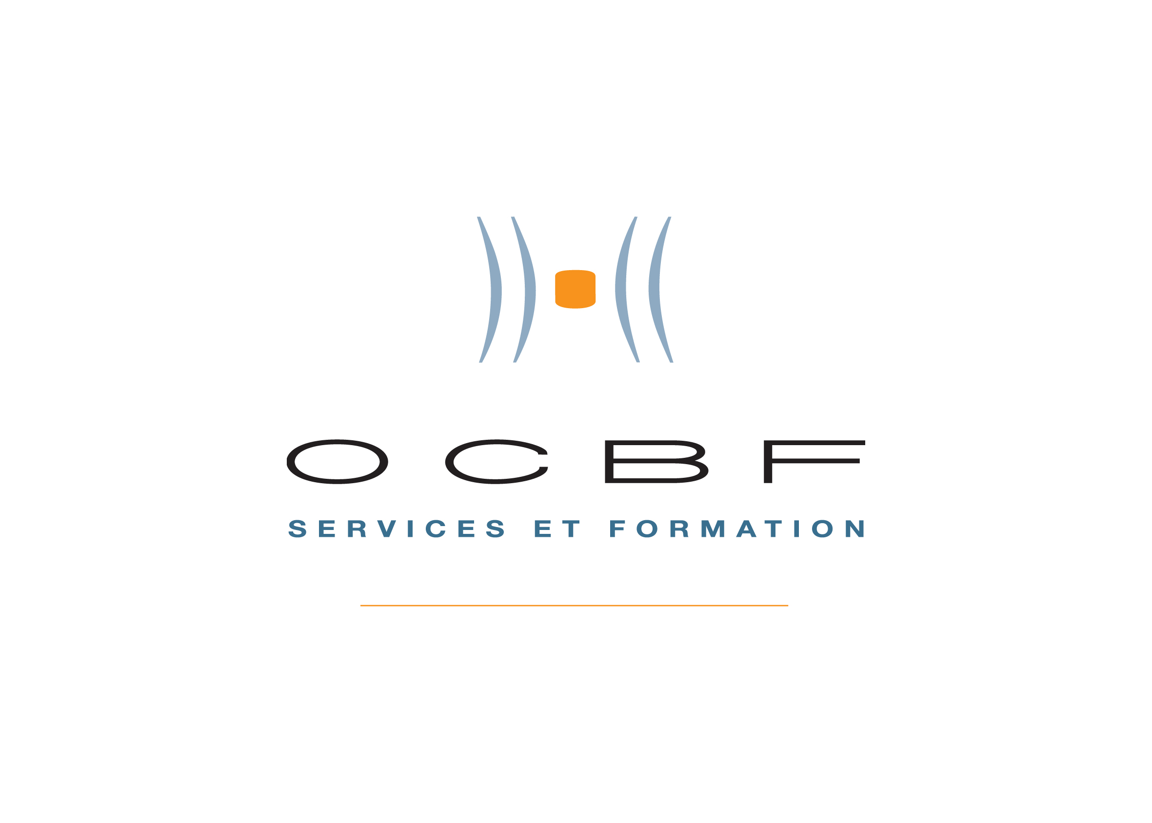 Publication des documents comptables : comptes annuels, semestriels et ...